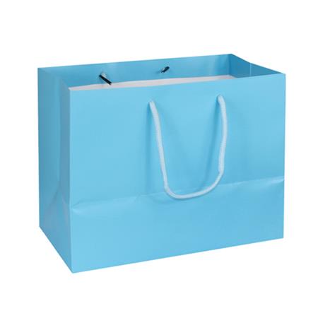 NON-IMPRINTED SKY BLUE Large Paper Bag